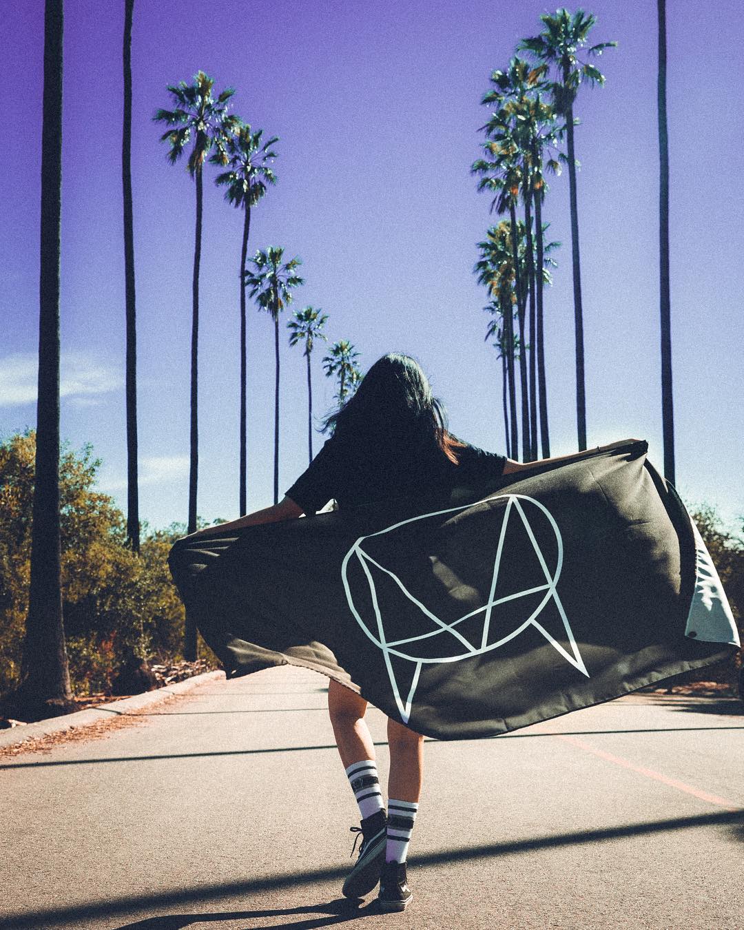 OWSLA owsla goods flags
