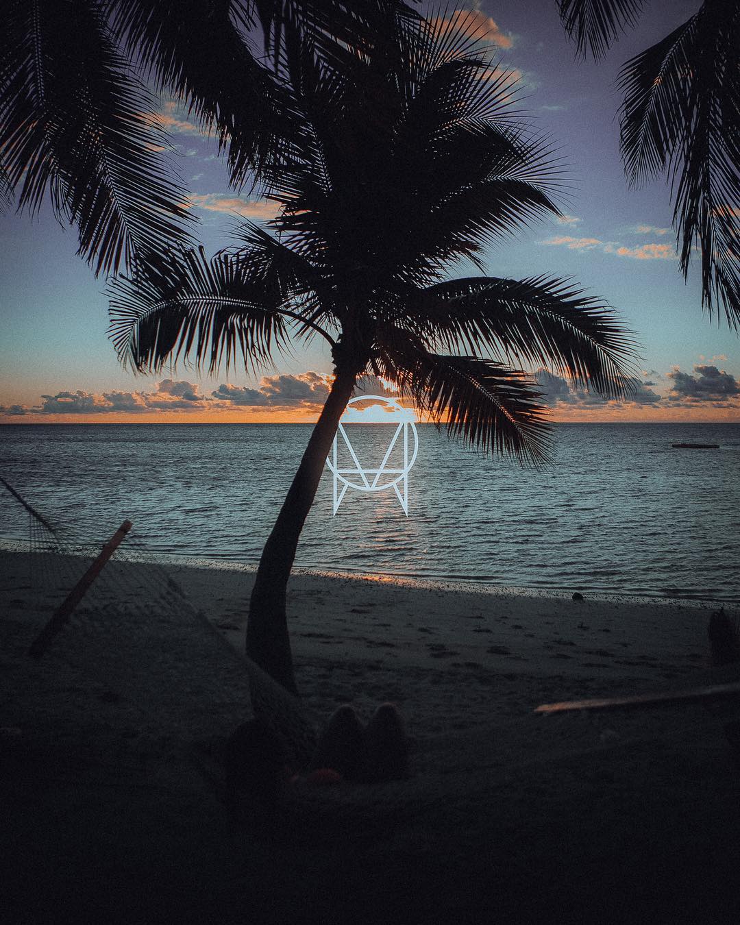OWSLA 🌴